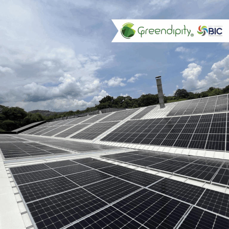 Comparativa técnica de paneles solares para proyectos fotovoltaicos de ...